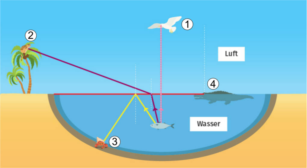 Totalreflexion Physik Definition, Erklärung, Beispiele