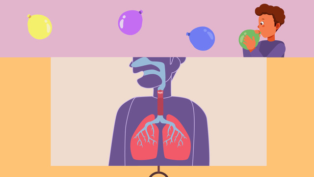 My Body - Breathing and Oxygen Cycles