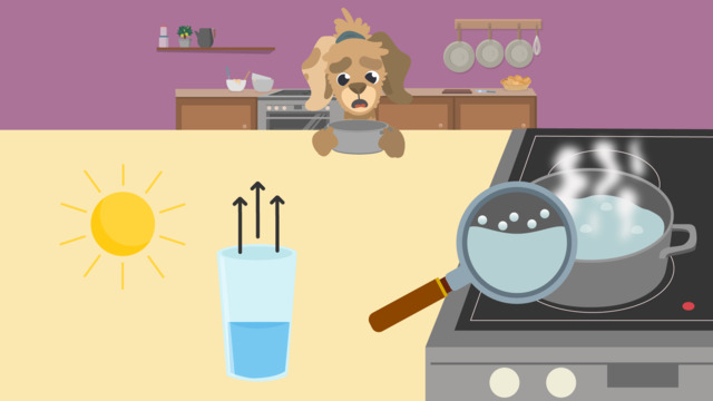How Does Water Evaporate?